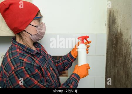 A woman sprays a mold remedy on a wall, removing mold at home, a woman ...
