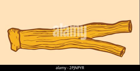 Dried korean ginseng root illustration. Ginseng root symbol in hand ...