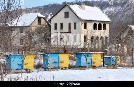 Green wooden beehives and bees in apiary in a botanical garden in ...