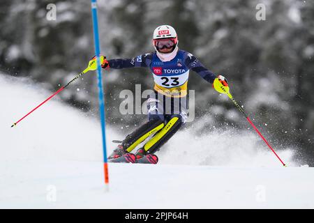 Keely Cashman competes in the women's giant slalom ski race during the ...