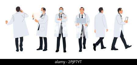 male doctor professional character vector illustration design Stock ...