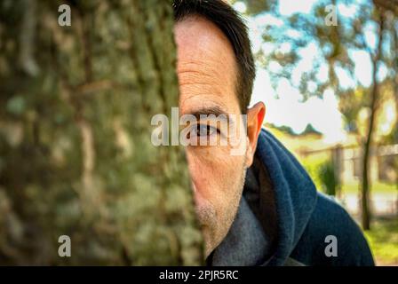 A man spying behind a tree Stock Photo - Alamy