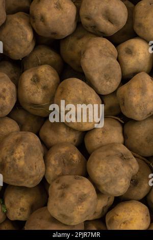 Assorted types of peruvian potatoes Fruits and vegetables from Peru ...