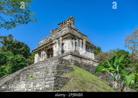 Temple of the Sun Templo del Sol, Mayan ruins, Palenque, Chiapas ...