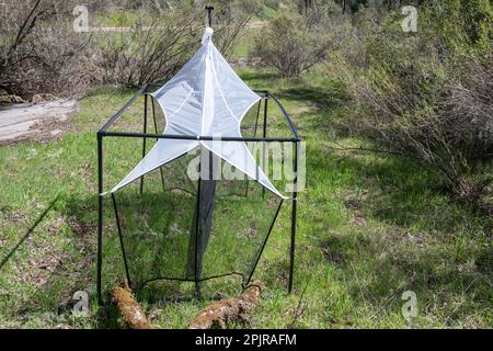 A malaise trap, a type of tent trap used for collection of flying ...