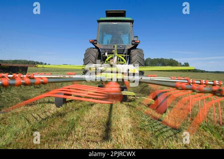 Tractor with roundabout rake Claas Liner 350, turning cut grass for ...