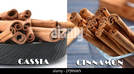 Collage with photos of cassia and ceylon cinnamon sticks. Banner design ...
