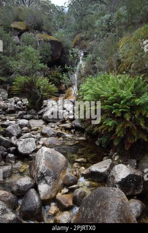 Waterfall at Mount Buffalo Stock Photo - Alamy