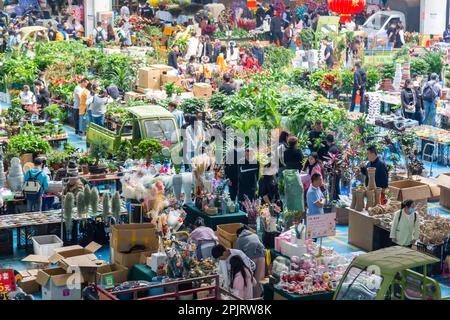 People trade in the Dounan Flower Market, Asia's largest fresh-cut ...