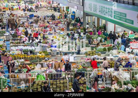 Dounan flower market in Kunming, Yunnan Province, China Stock Photo - Alamy