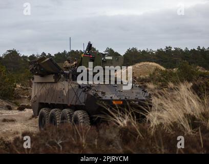 Danish soldiers assigned to the 1st Artillery Battalion conduct live ...