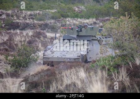 Danish soldiers assigned to the 1st Artillery Battalion conduct live ...