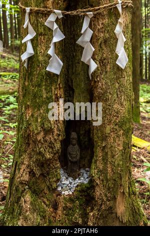 Chichibu, Saitama, Japan with Buko Mountain at dusk Stock Photo - Alamy