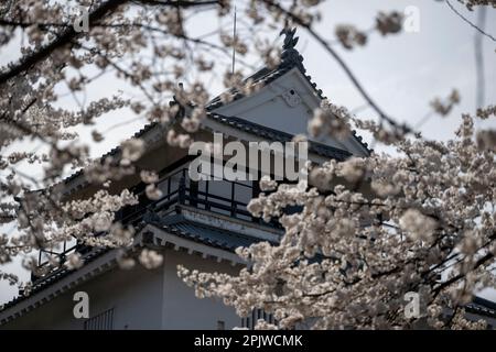 The beautiful spring scenery around Nagaoka Castle, Niigata, Japan ...