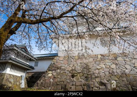The beautiful spring scenery around Nagaoka Castle, Niigata, Japan ...