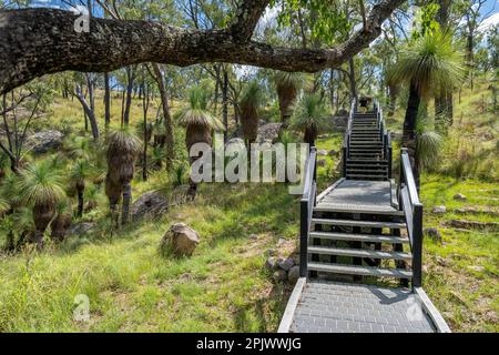 Stairs and walkway made of recycled material, Coomba Falls, Maidenwell ...