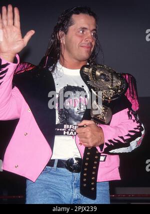 1987 Bret Hart Photo by John Barrett/PHOTOlink Stock Photo - Alamy