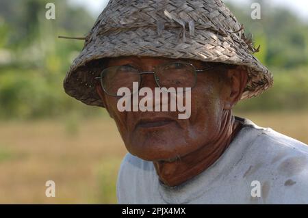 peanuts collector in Bali during thei lunch break Stock Photo - Alamy