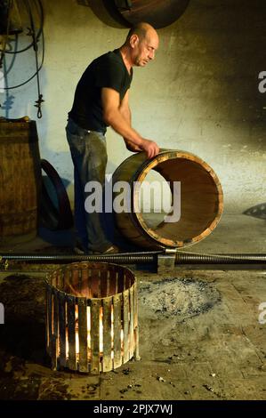 Handcrafted construction of barrels at Gamba Botti, Castell'Alfero Asti ...