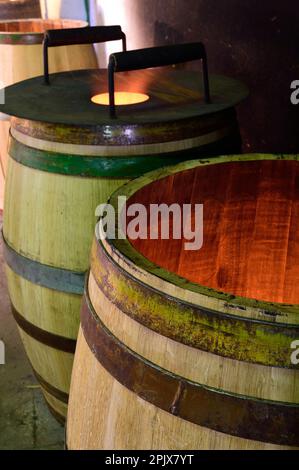 Handcrafted construction of barrels at Gamba Botti, Castell'Alfero Asti ...