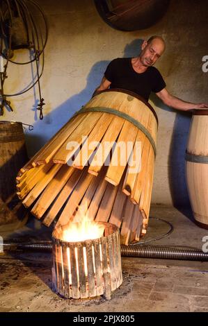 Handcrafted construction of barrels at Gamba Botti, Castell'Alfero Asti ...