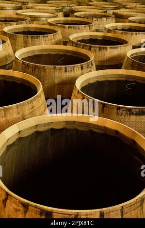 Handcrafted construction of barrels at Gamba Botti, Castell'Alfero Asti ...