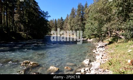 nice fast mountain ridge stream with clear water at summertime day ...