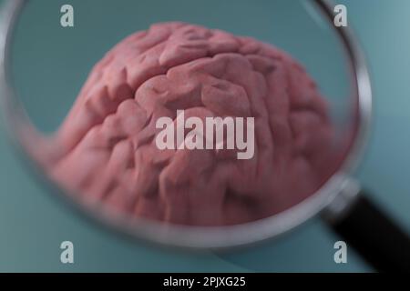 magnifier tool on a human brain 3d illustration Stock Photo - Alamy