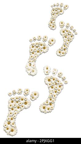 Daisy flowers arranged in footprints (human feet), isolated on white ...