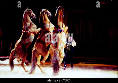 Archives 90ies: First Biennal of the Circus, Lyon, France, 1995 Stock ...