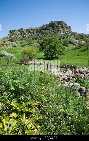 Valle dei vulcani. Logudoro meilogu. Bonorva. SS, Sardegna. Italy Stock ...