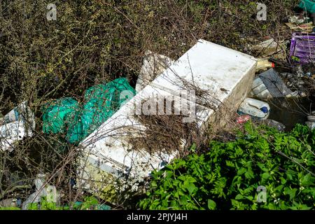Fly tipping fridge freezer and oil barrel in ancient woodland, Oxshott ...