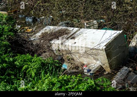 Fly tipping fridge freezer and oil barrel in ancient woodland, Oxshott ...