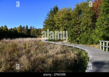The black moor is one of the most beautiful geotopes in Bavaria Stock ...