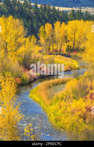 fall colors along the blackfoot river near lincoln, montana Stock Photo ...