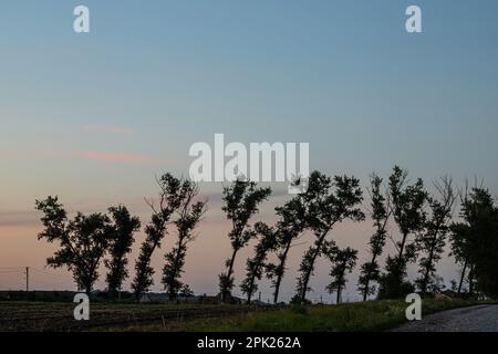 Beautiful sky at sunset, pastel shades of clouds Stock Photo - Alamy