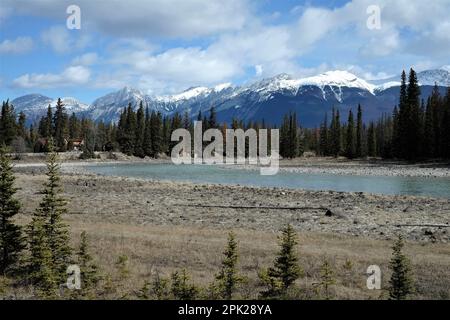 Wapiti Campground, Jasper, Canada Stock Photo - Alamy