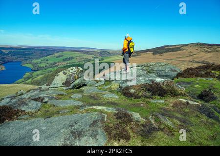 Female hiker Walking along Dovestones Edge, above Ladybower Reservoir ...