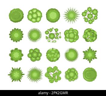 Top view tree. Planting green trees, park map vegetation and tropical ...