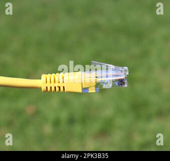 RJ45 ethernet cable close up shot Stock Photo - Alamy