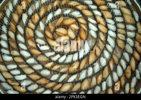 chrysalis silkworm cocoons in nests, life cycle of silk worm Stock ...