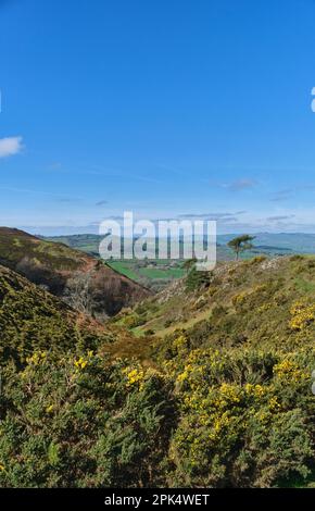 View through Crowsnest Dingle towards Bromlow Callow, near Snailbeach ...