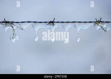 Ice drops... Icicles ( winter flood 2020/2021 ), naturally formed ice ...