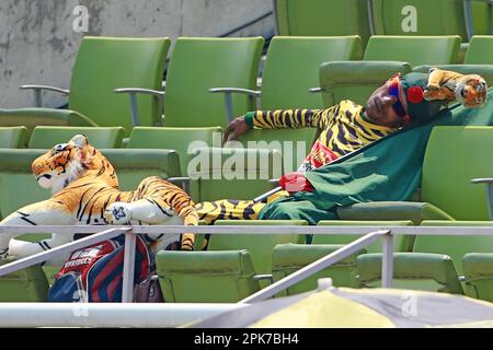 A Tiger fan during the alone test match between Bangladesh and Ireland ...