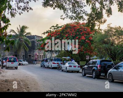 The Forodhani gardens also known as Jubilee Gardens and more recently ...