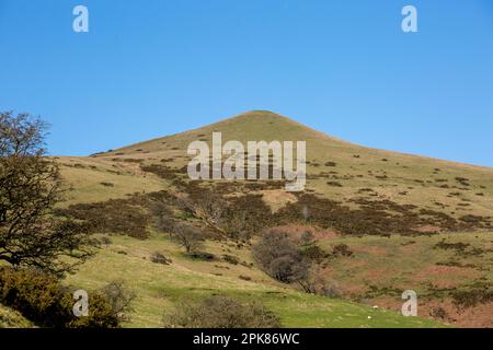 Lose Hill, the start of the great ridge walk between Mam Tor and Lose ...