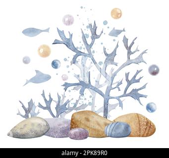 Composition of colourful fish on blue background Stock Photo - Alamy