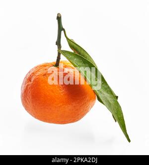 Delicious single tangerine over isolated white background Stock Photo ...