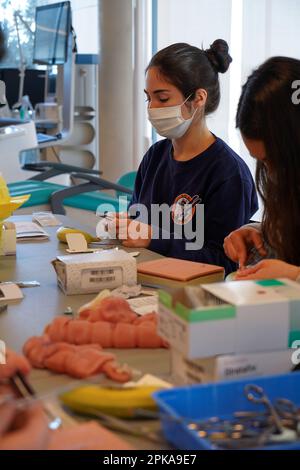 5th year students during a sewing workshop. The students learn the ...