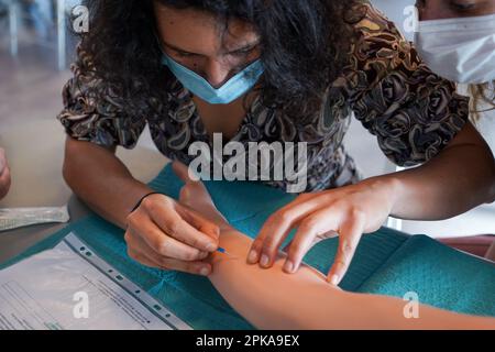 5th year medical students during an IV placement workshop. Students ...